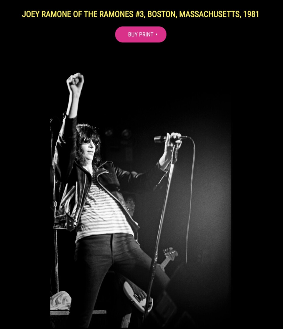 Punk Festivals: Capturing the Spirit of Rebellion Through the Years